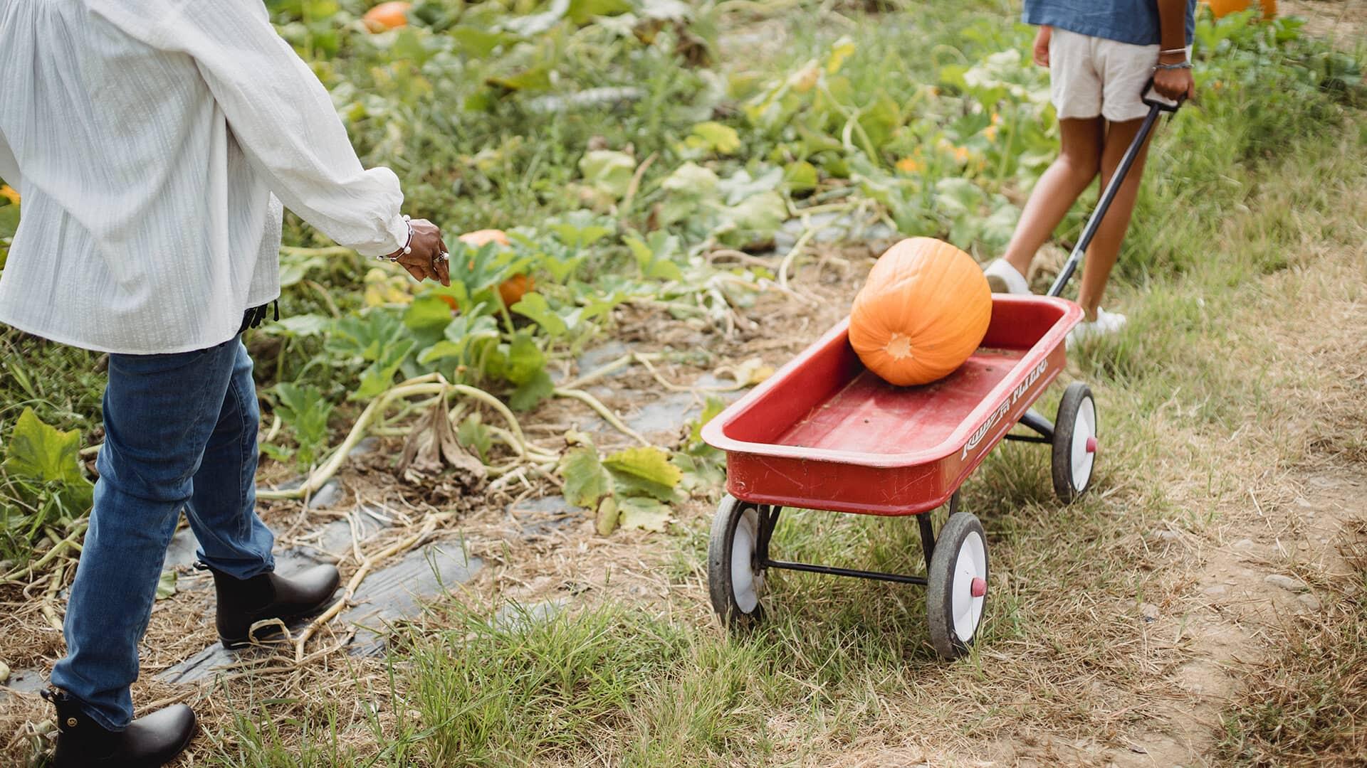 Salarier son ado pendant les vacances : 3 avantages pour l’entreprise ...