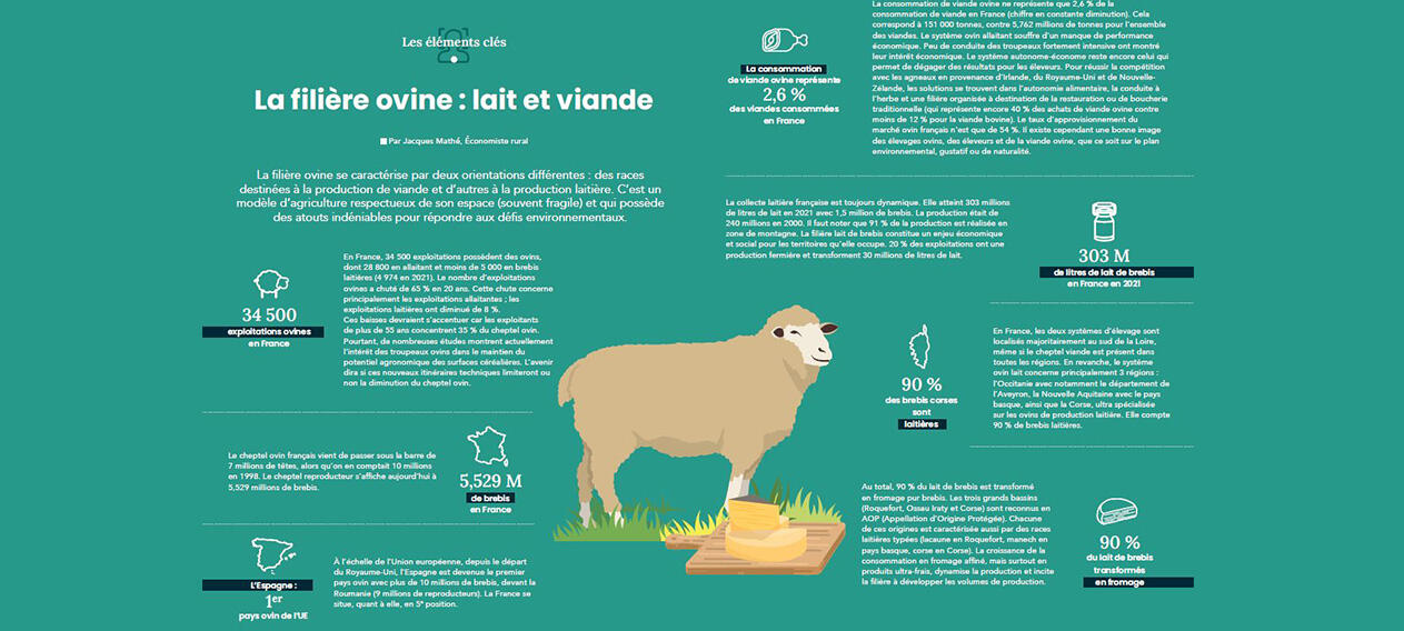 La filière ovine : lait et viande, les chiffres clés 20023
